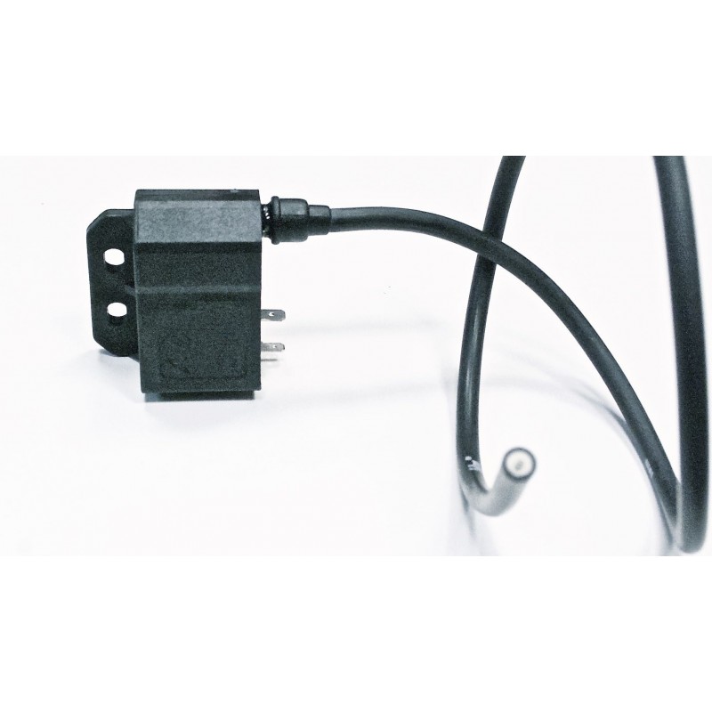 RSP and varitronic electronic ignition coil.