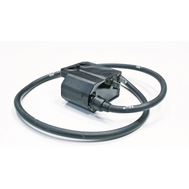 RSP and varitronic electronic ignition coil.